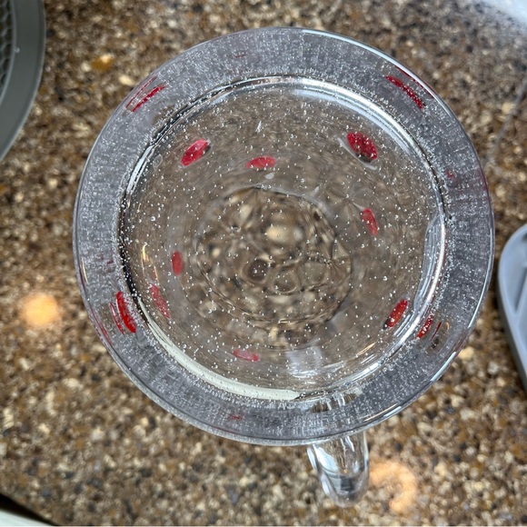 Kitchen | Blown Glass Bubble Ladybug Pitcher | Poshmark